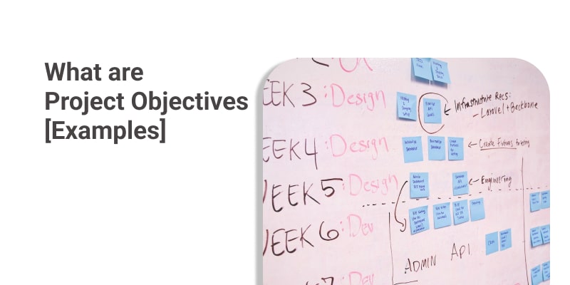 What Are Project Objectives Some Examples Routine
